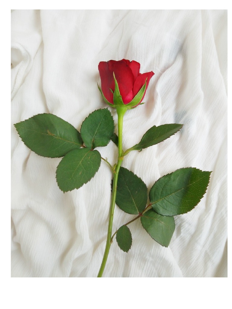 Kung Bakit Nasa Ilalim NG Lupa Ang Ginto | PDF