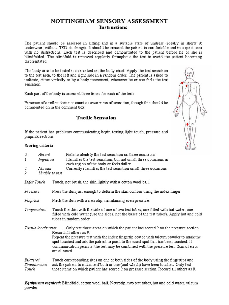 Nsa Instructions Revised | PDF | Somatosensory System | Senses