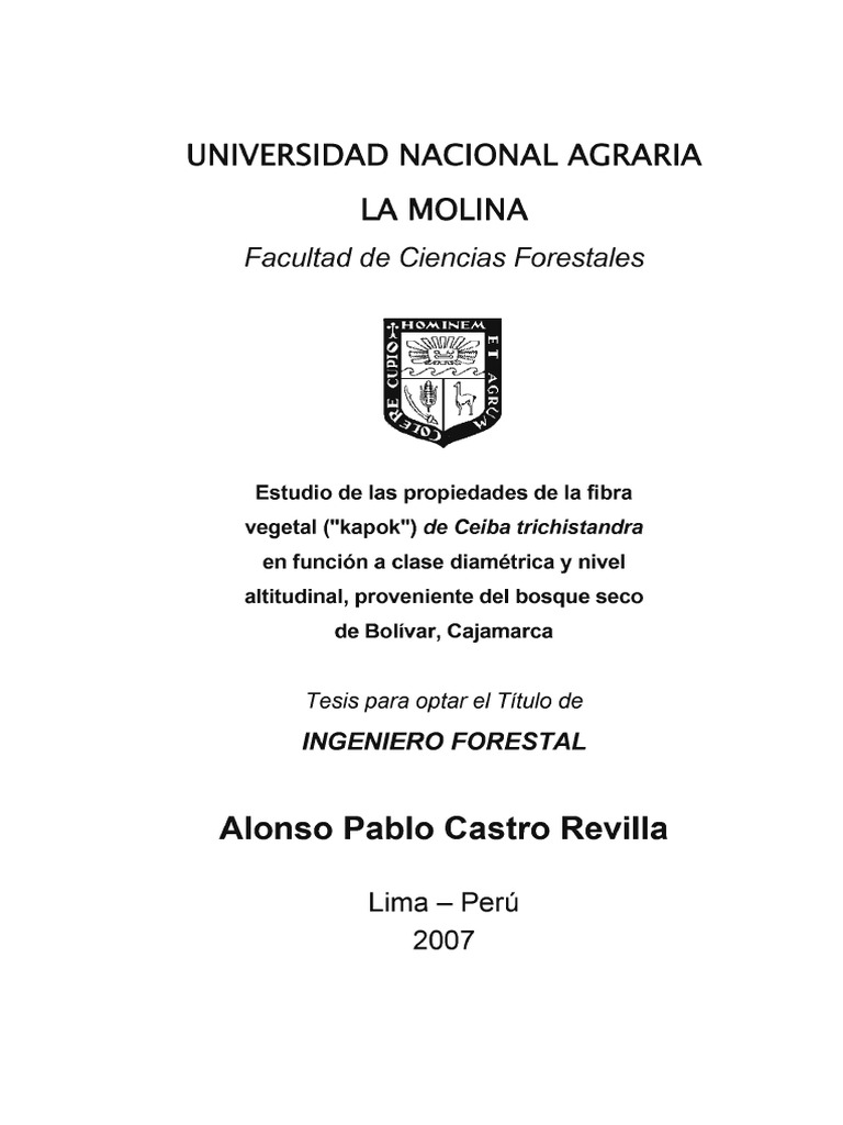 Caracterización de Caiba | PDF | Estrés (Mecánica) | Calor