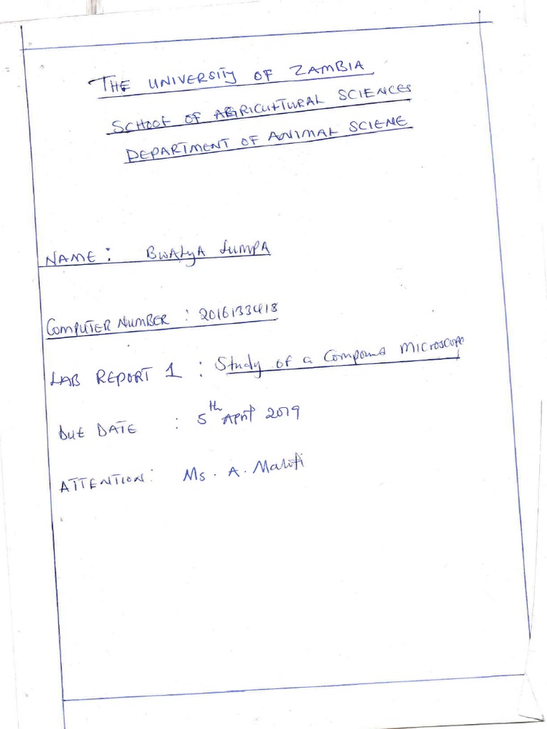 Aga Labs, Assignments 1 | PDF