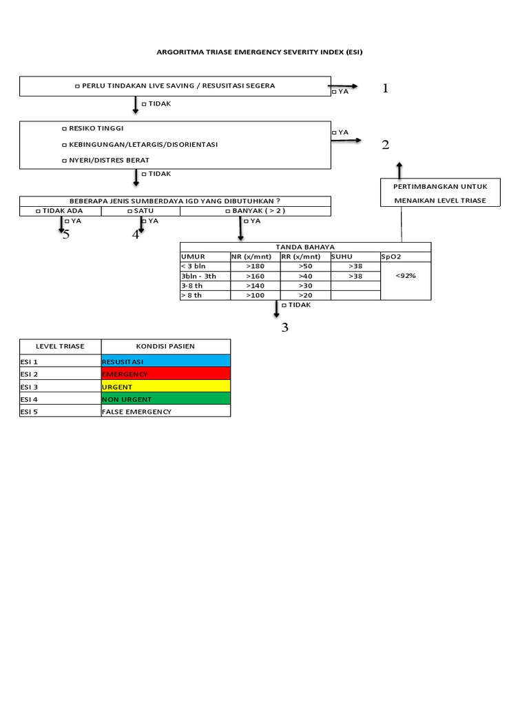 TRIASE | PDF