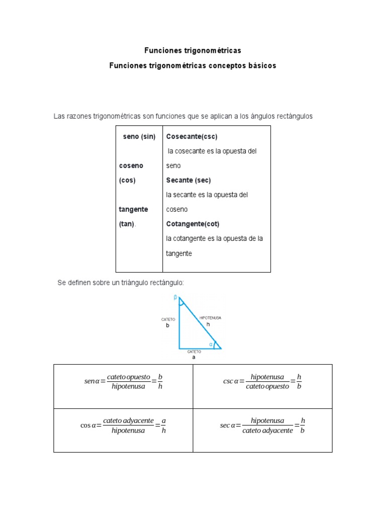 Funciones Trigonométricas Guia | Descargar gratis PDF | Funciones trigonométricas | Ángulo