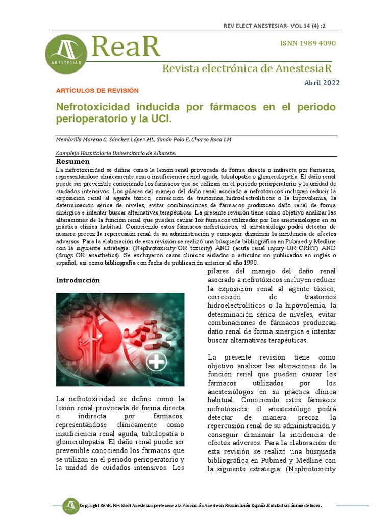 Revista Electrónica de Anestesiar: Nefrotoxicidad Inducida Por Fármacos ...