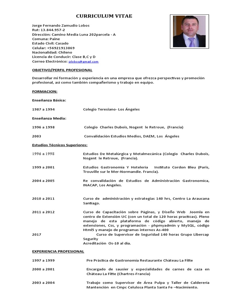 CV Jorge Zamudio Supervisor 2020 | PDF