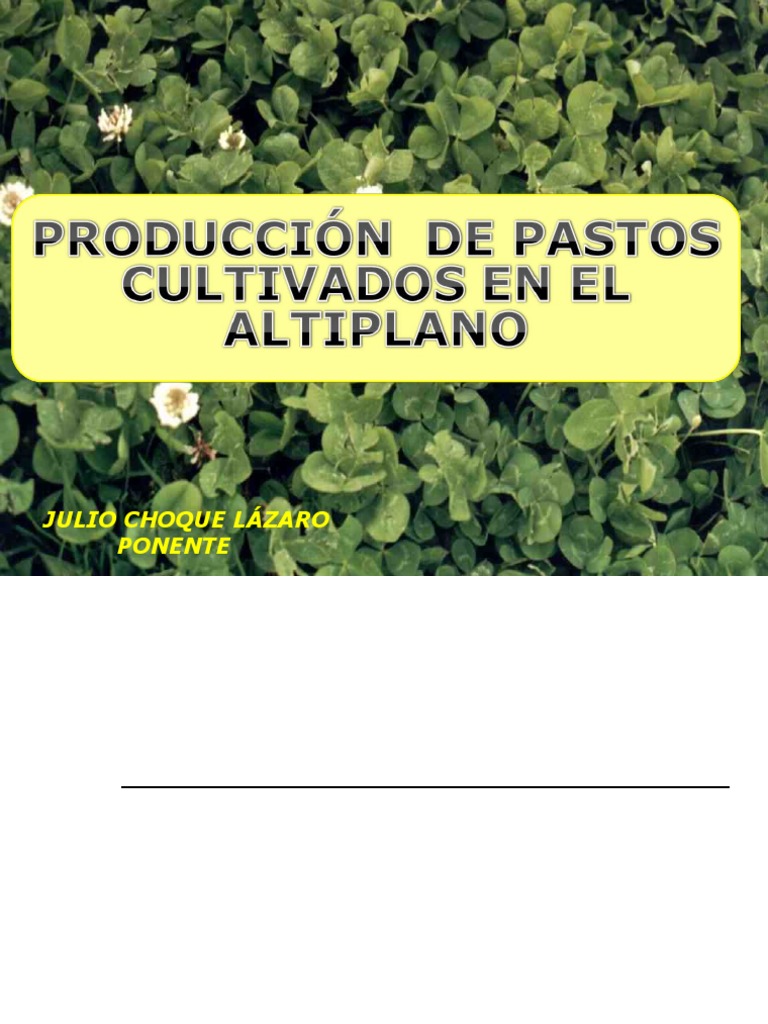 Estrategias para Mejorar Praderas | PDF | Siembra | Suelo