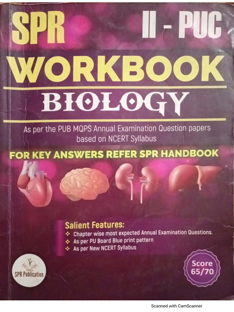 SPR Work Book Math | PDF
