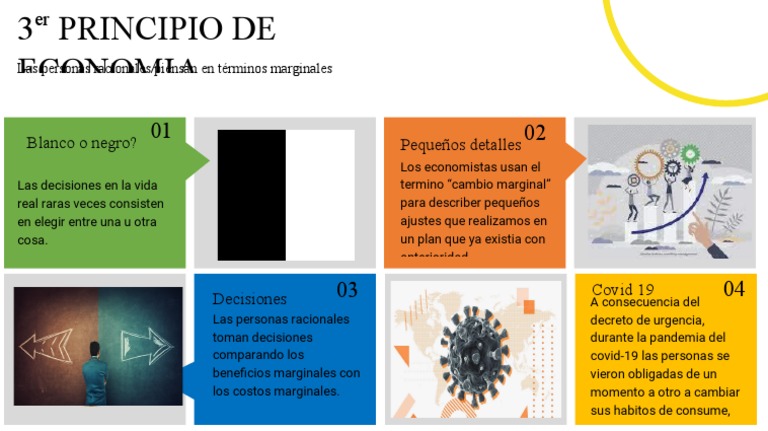 Decisiones y Principio Marginal | PDF