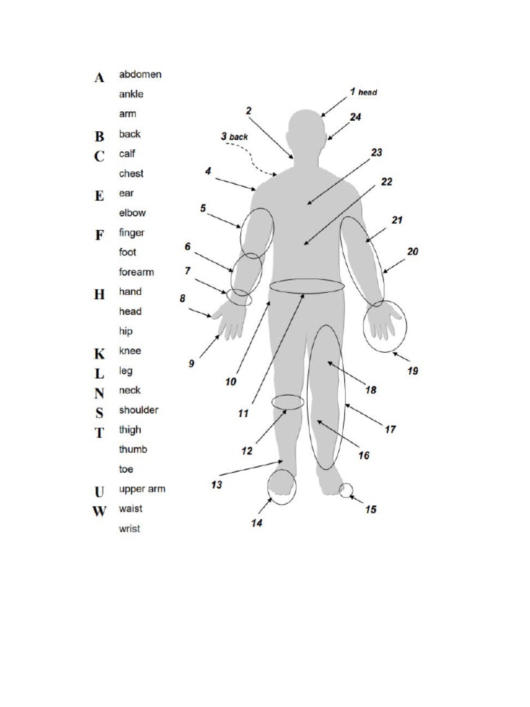 Body Parts To Complete | PDF
