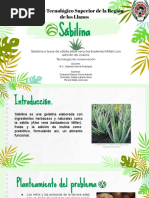 Ficha Tecnica Lavanda | PDF