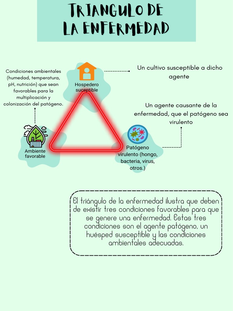 Triángulo de la Enfermedad: Factores Clave | PDF