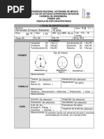 Mecanismo de Schultze | PDF | Placenta | Parto