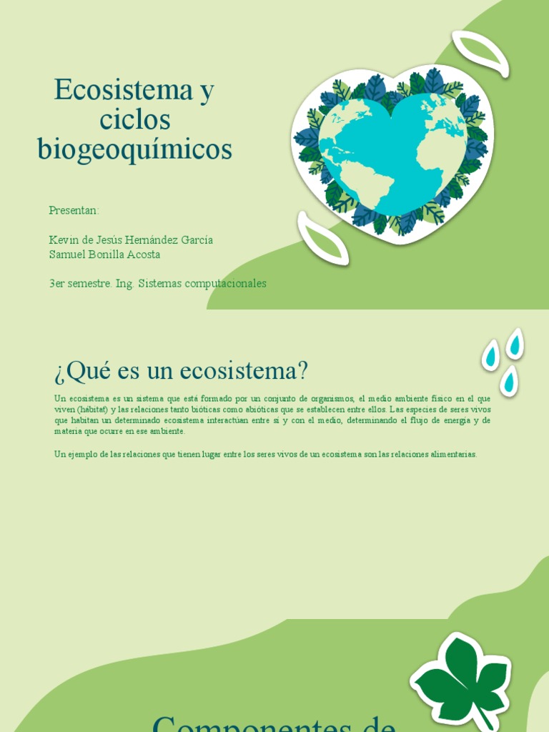 Ecosistema y Ciclos Biogeoquímicos | PDF | Ecosistema | Tierra