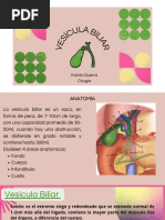 Anatomía y Clasificación del Colédoco | PDF | Vesícula biliar ...
