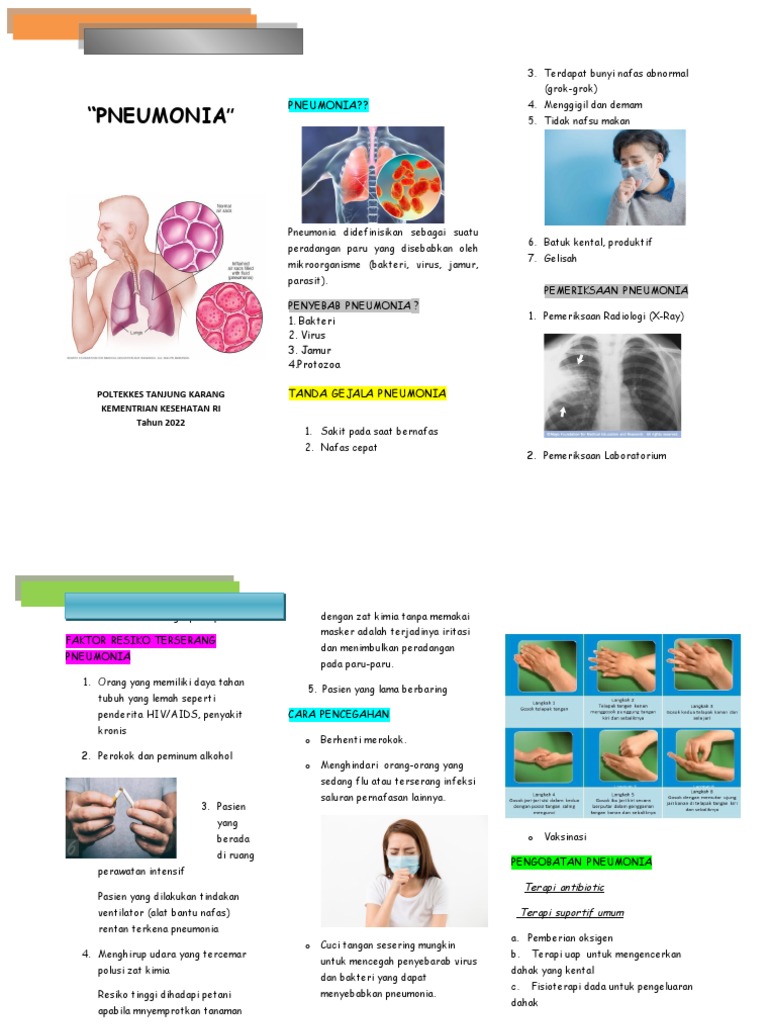 LEAFLET Pneumonia Zania | PDF
