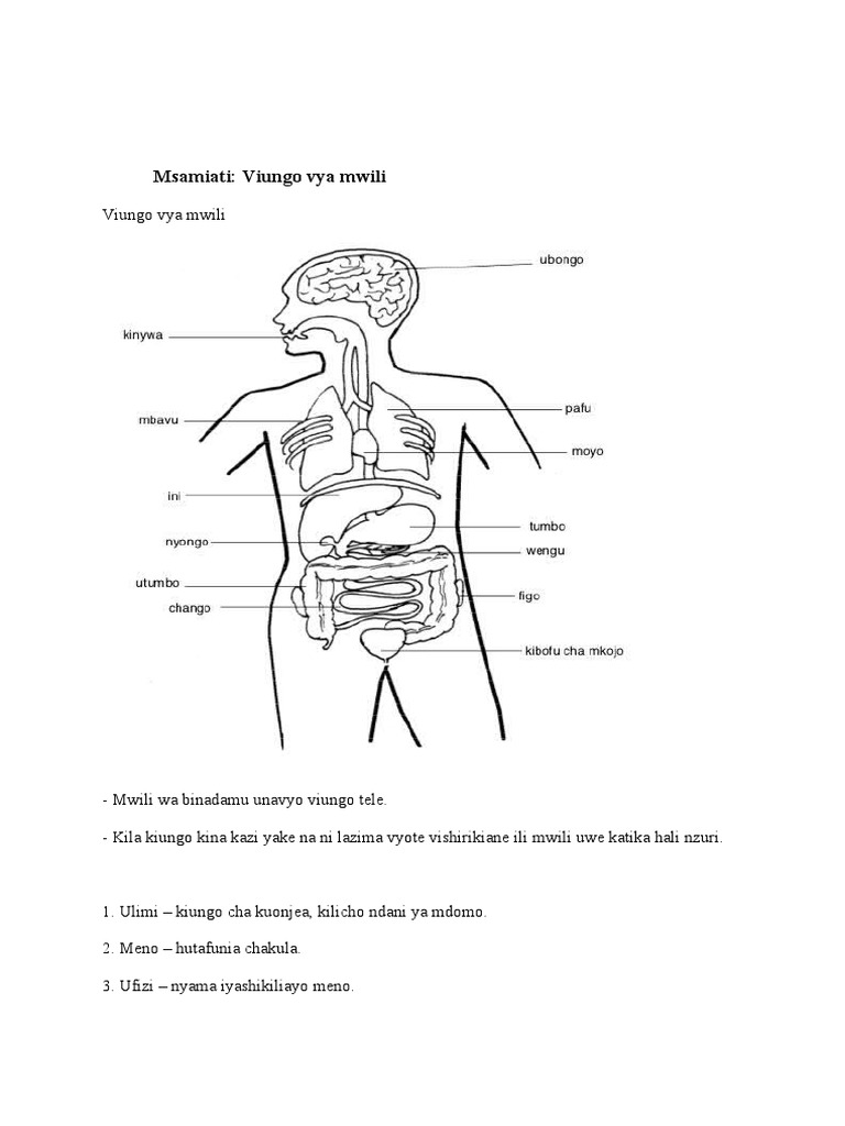 Msamiati - Viungo Vya Mwili. | PDF