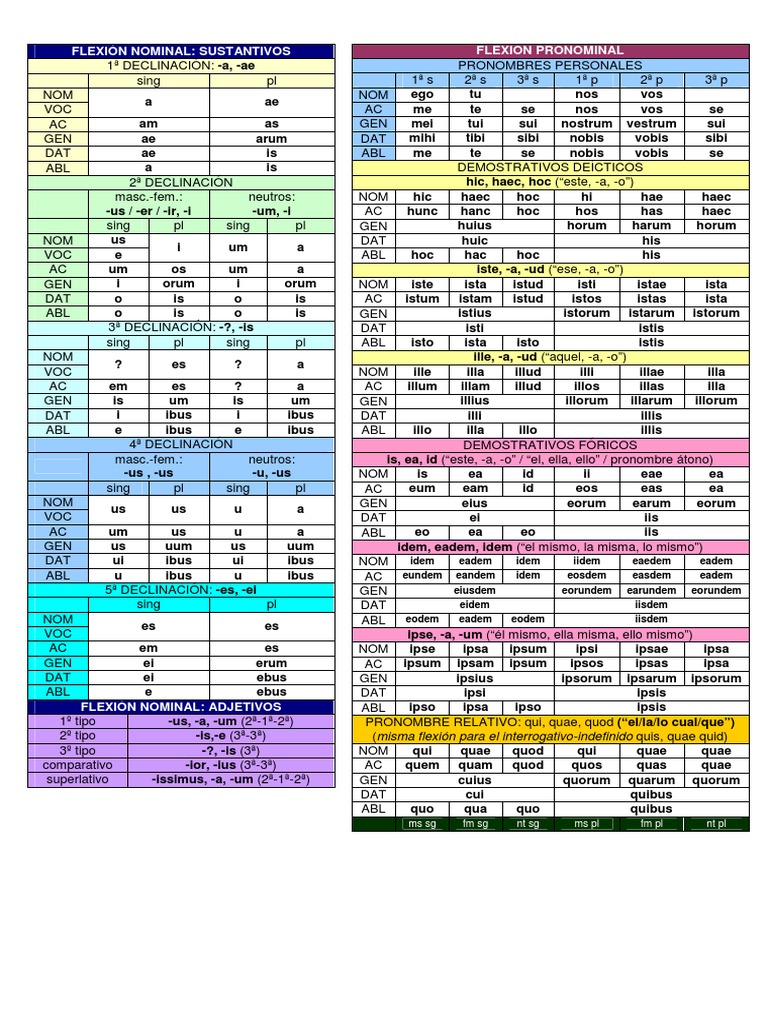 CHULETA MORFOLOGÍA LATINA | PDF