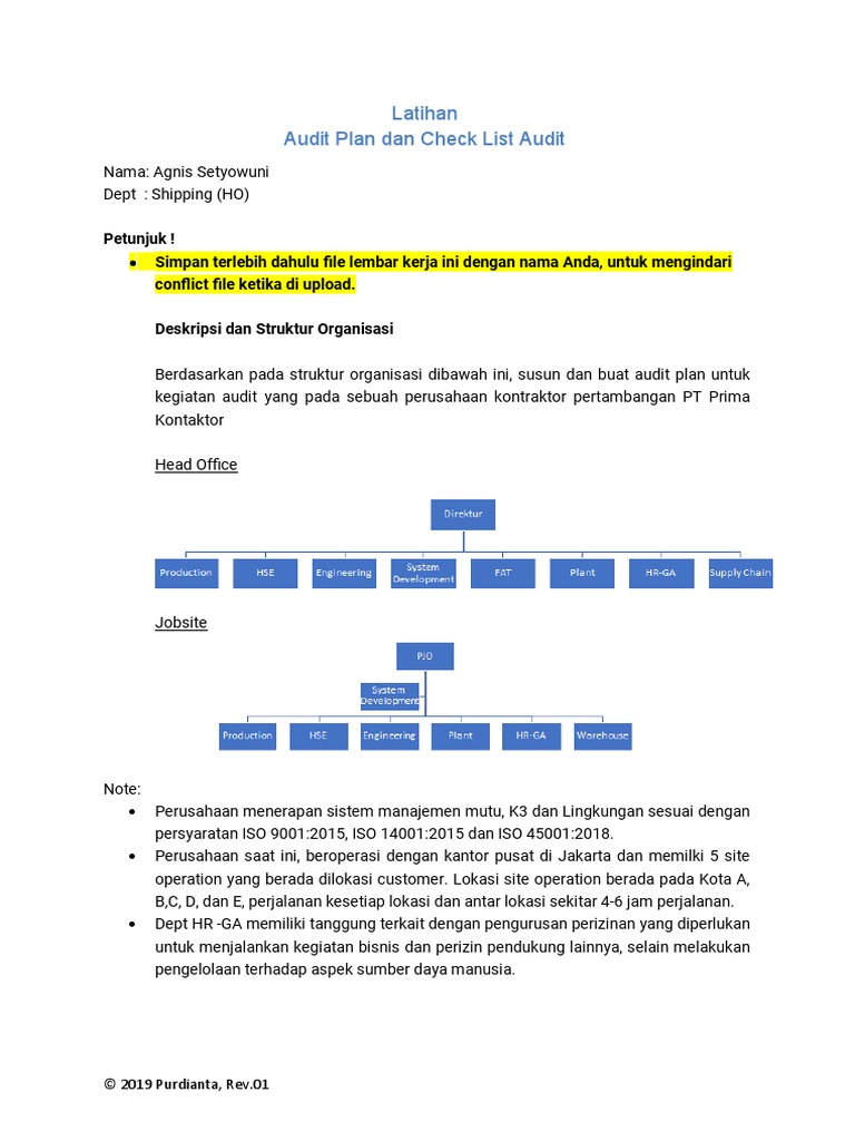 Latihan 1 - Audit Plan and Checklist | PDF