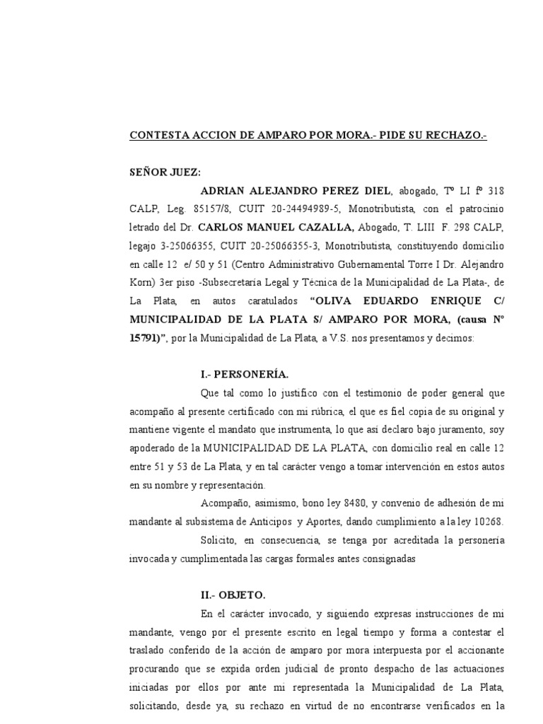 Amparo Por Mora | PDF | Demanda judicial | Instituciones sociales