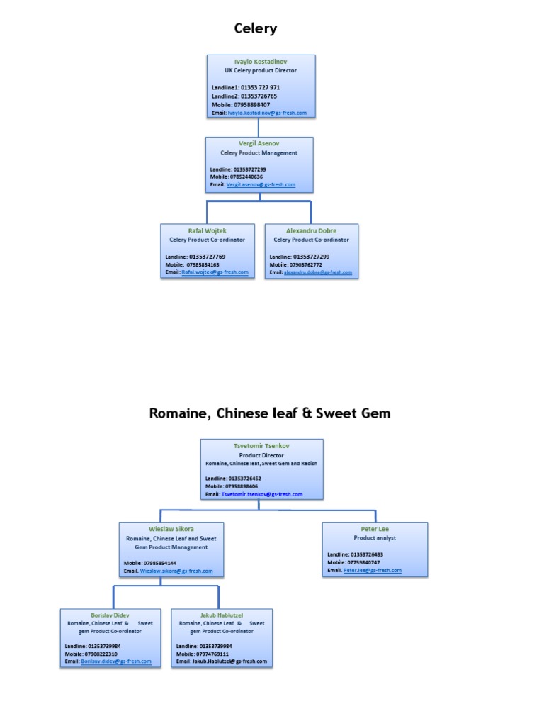 Product Management Structure Winter 2021-2022 | PDF