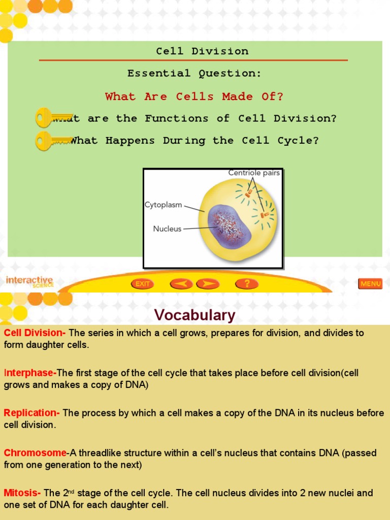 Cell Cycle and Division Explained | PDF