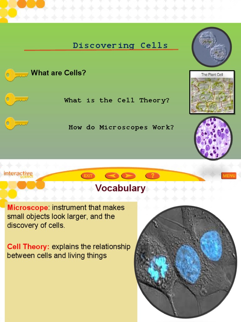 Cell and Cell Theory | PDF | Microscope | Science