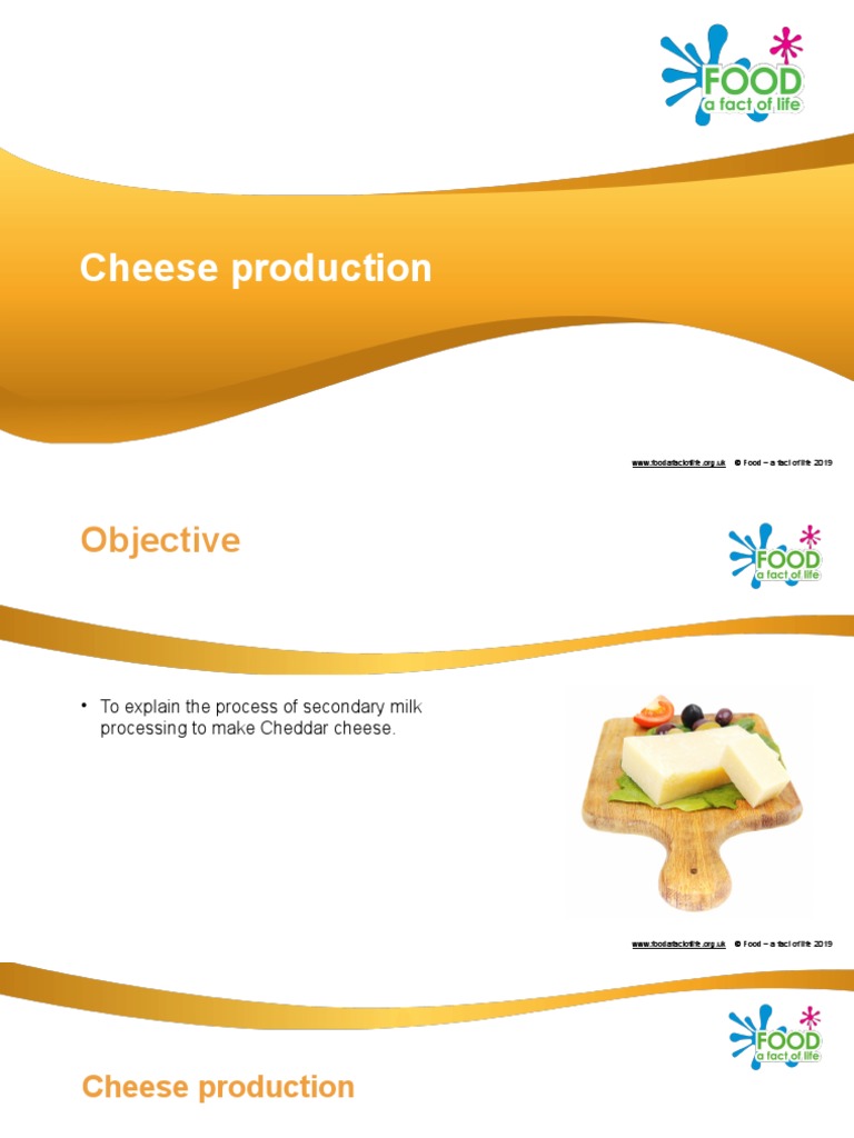 Cheddar Cheese Production Guide | PDF | Cheddar Cheese | Cheese