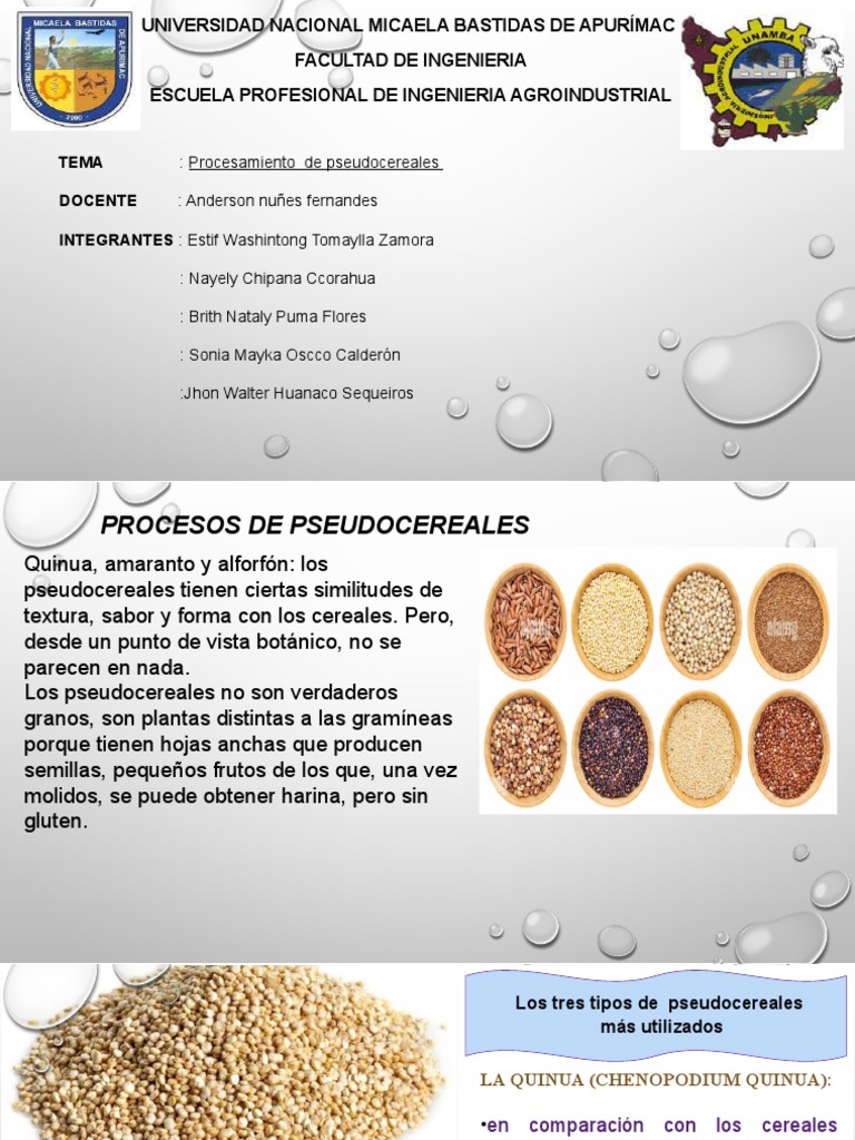 Introduccion | PDF | Cereales | Quinua