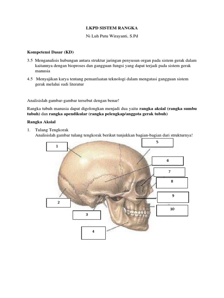LKPD Sistem Rangka | PDF