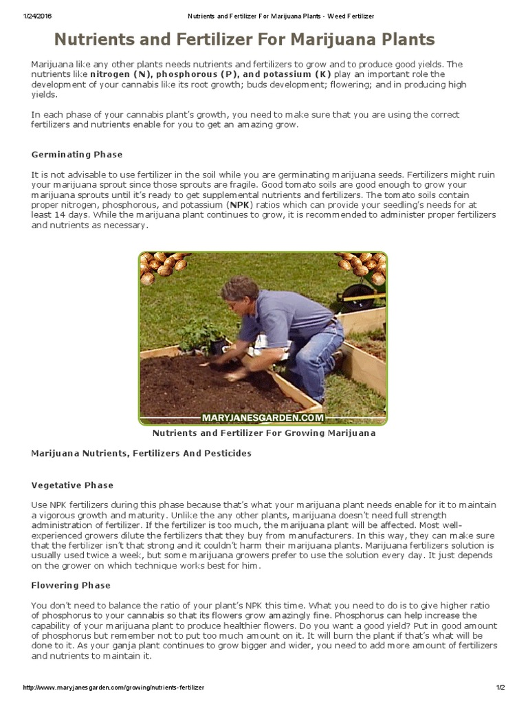 Nutrients and Fertilizer For Marijuana Plants - Weed Fertilizer | PDF ...