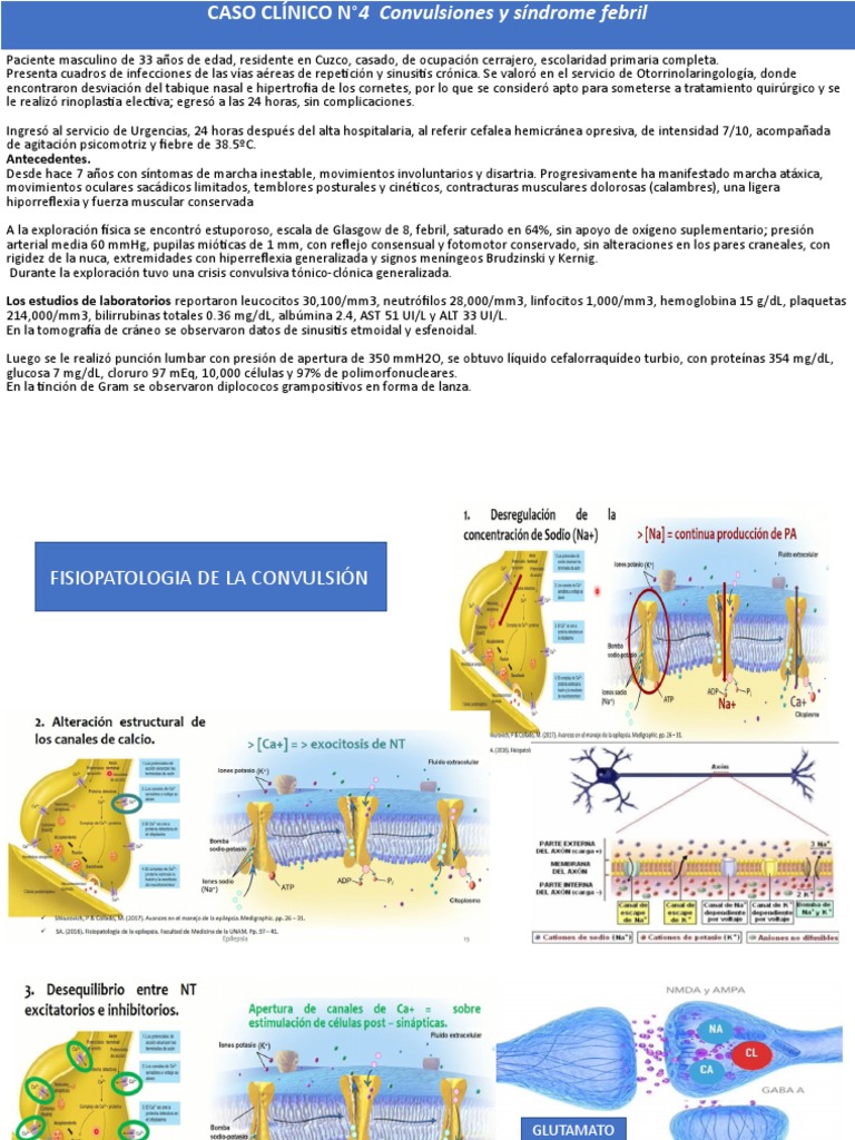 Convulsion Fisipatologia | PDF