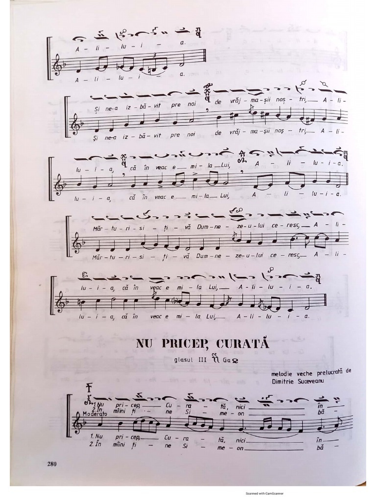 Nu Pricep Curată | PDF