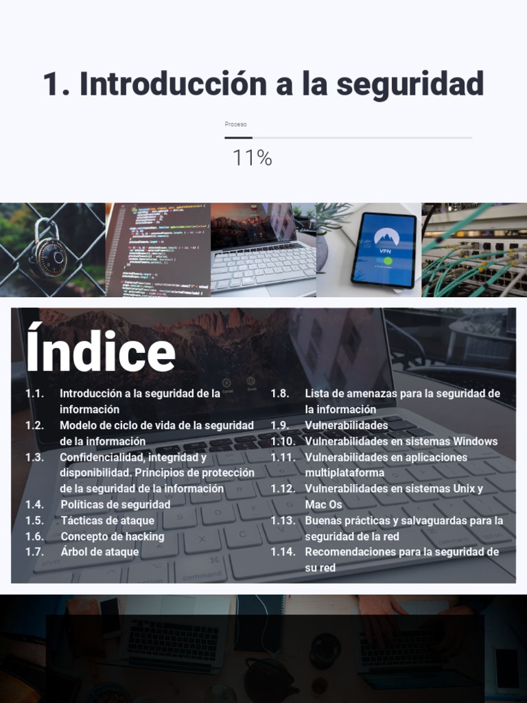 Introduccion A La Seguridad | PDF | Seguridad | La seguridad informática