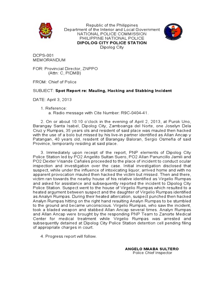 SAMPLE Spot, Progress, Final Report | PDF | Police | Detention (Imprisonment)