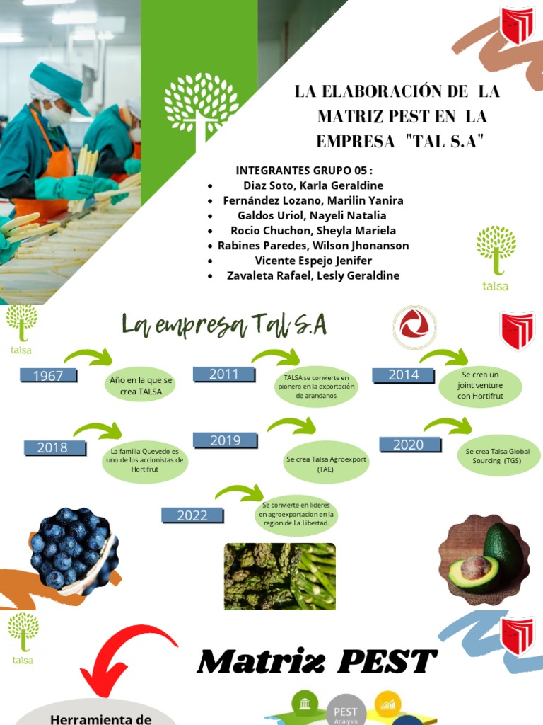 Grupo 5 - Elaboración Matriz Pest - Tal S.A PDF | PDF | Business ...