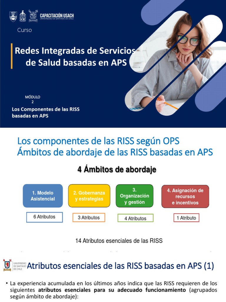 Los Componentes de Las RISS | PDF | Gestión de recursos humanos ...
