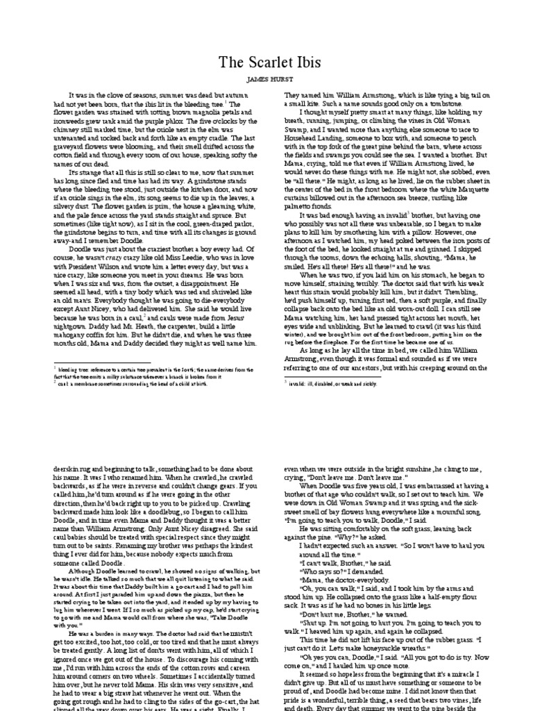 The Scarlet Ibis 2 | PDF