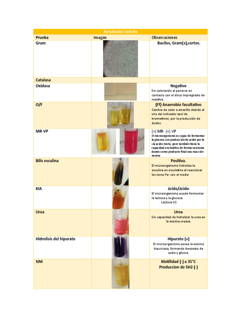 Practica 3. Resultados | PDF | Sustancias químicas | Ciencias fisicas