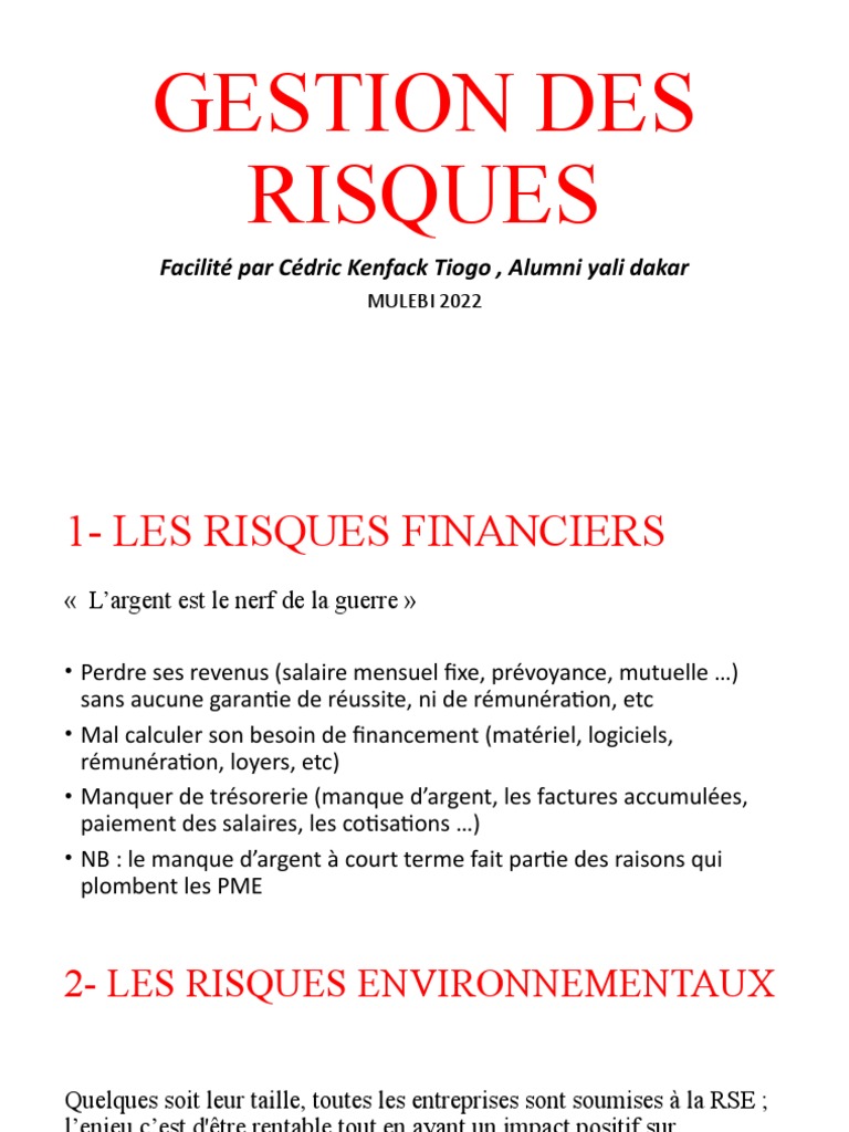 Gestion Des Risques | PDF