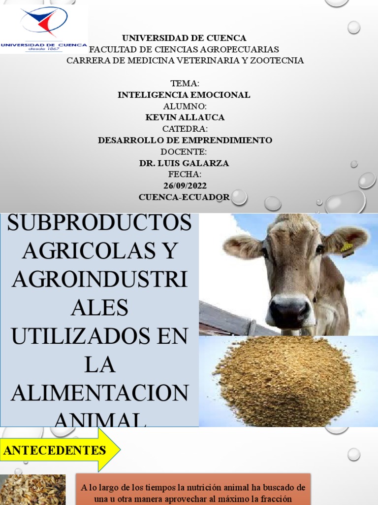 Subproductos Agricolas y Agroindustriales Utilizados en La Alimentacion Animal | PDF | Nutrición ...