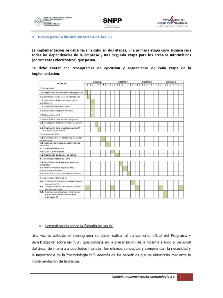 Pasos para Implementar Las 5S | PDF | Business | Informática