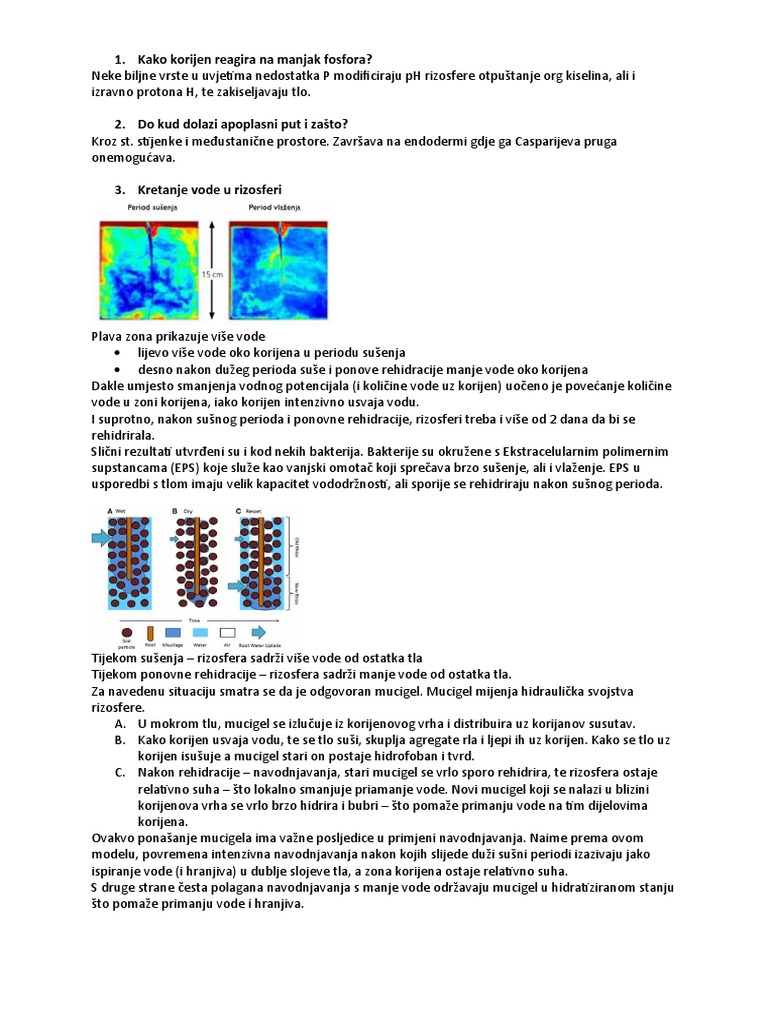 Rizosferna Ekologija - Ispit (Pitanja I Odgovori) | PDF