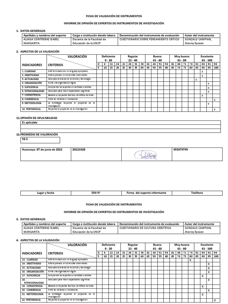Ficha de Validación de Instrumentos | PDF | Evaluación | Cognición