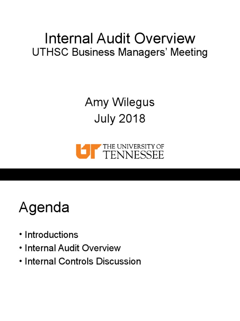 Internal Audit Overview | PDF | Audit | Internal Audit