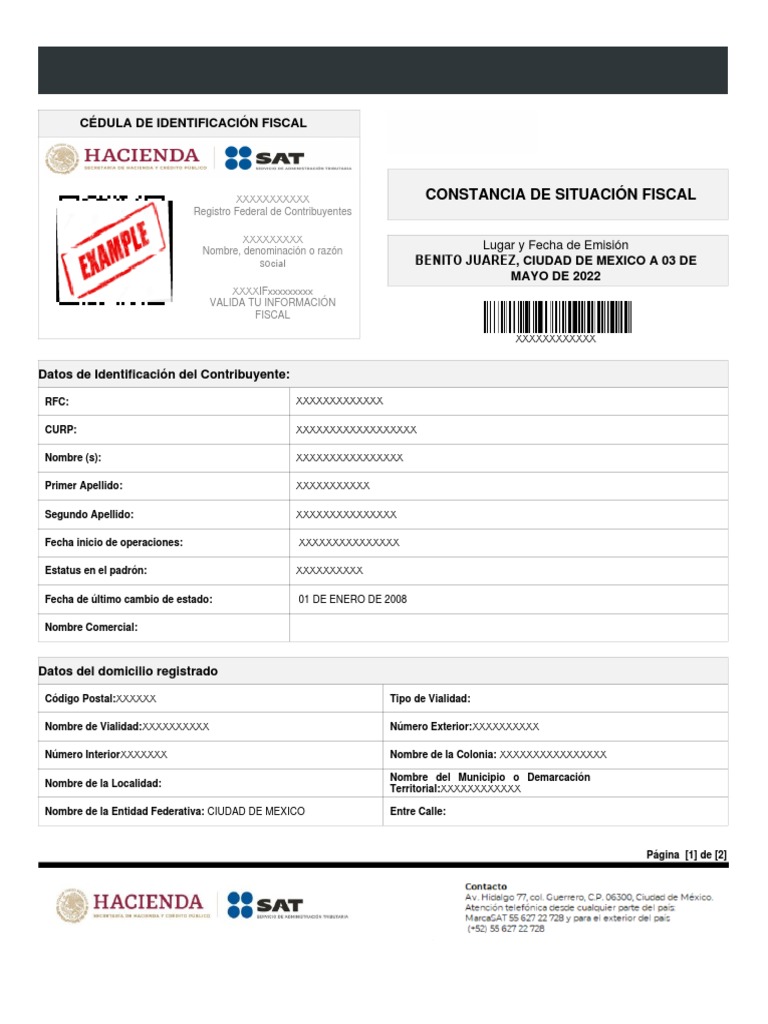 Ejemplo De Constancia De Situación Fiscal Pdf Gobierno