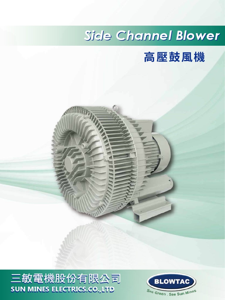 Ring Blower Catalogue | PDF | Electric Motor | Pump