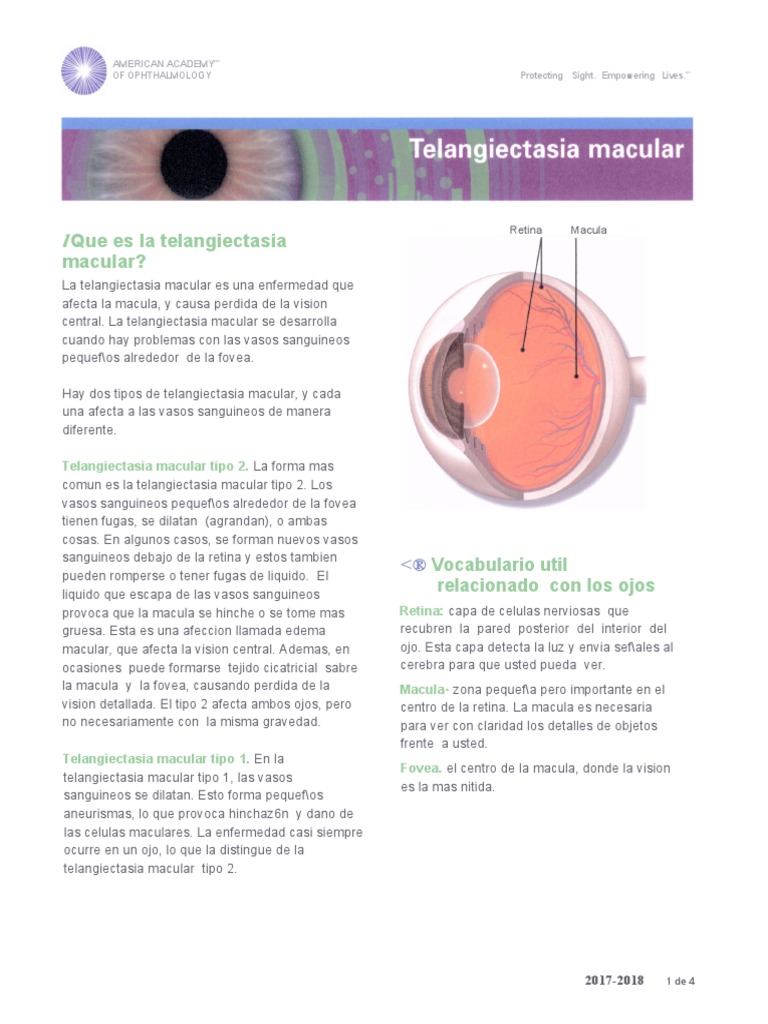 Telangiectasia Macular | PDF | Percepción visual | Medicina CLINICA