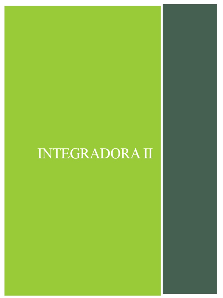 Estructura Proyecto Integradora Ii Oci Bis | PDF | aduana | Economias