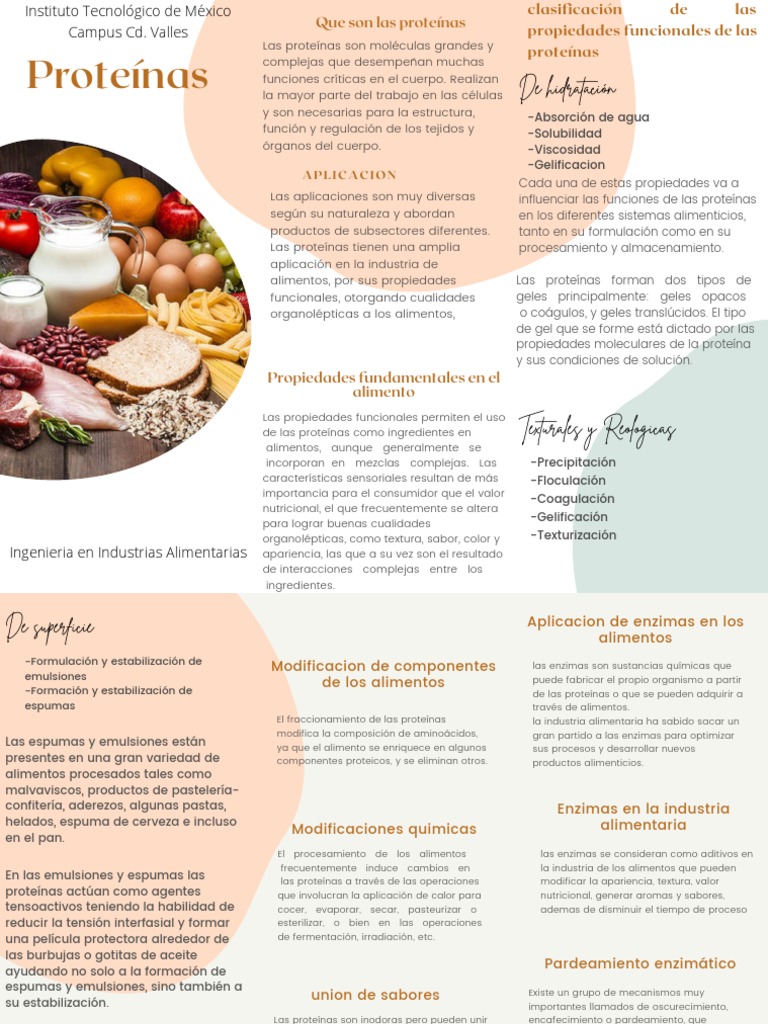 Tríptico U2 Cristian - Alexis - Castillo - Rodriguez | PDF | Alimentos ...
