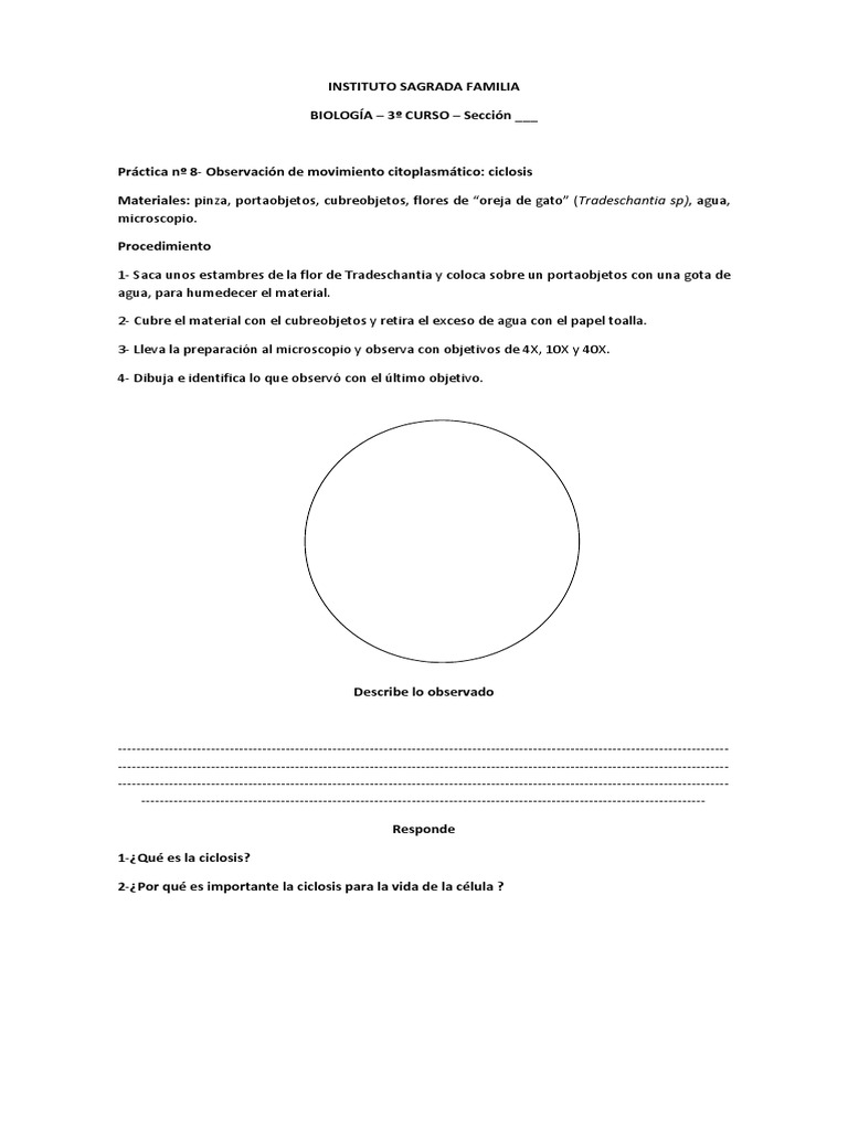 Prectica N° 8 - Guia de Laboratorio - Biologia - 2022 - Ciclosis | PDF