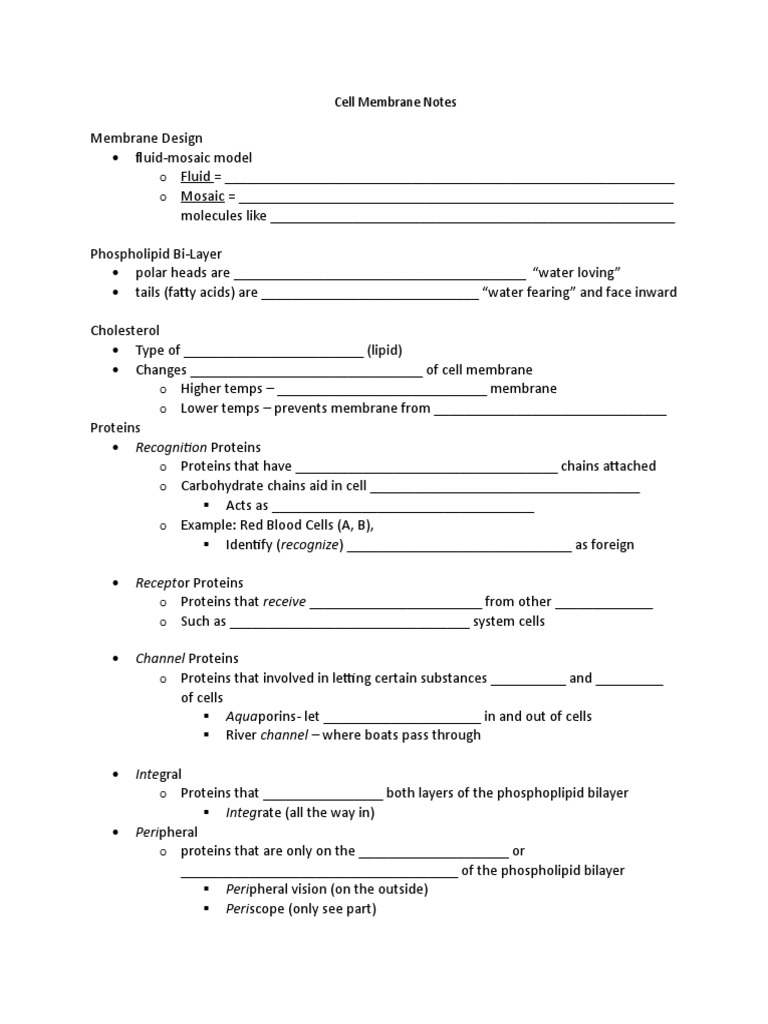 Cell Membrane Guided Notes | PDF